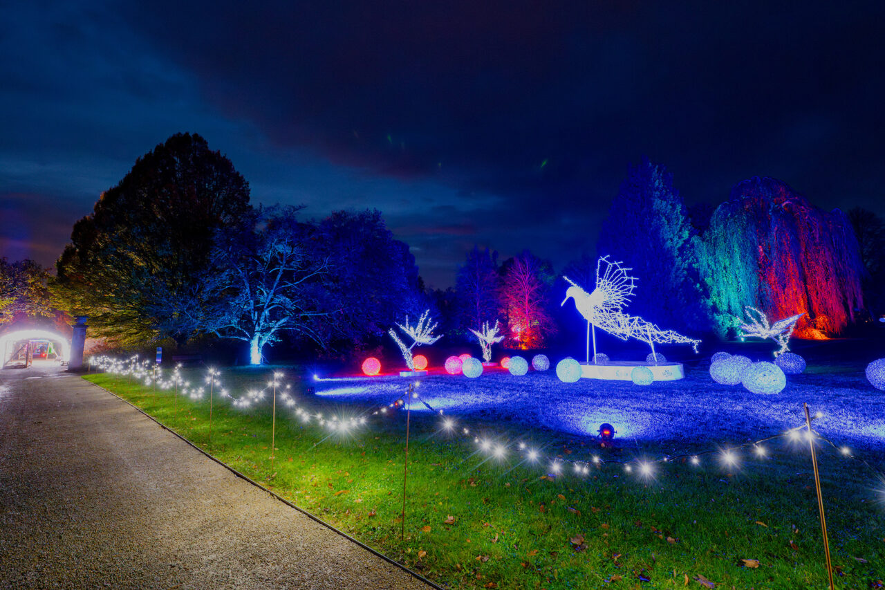 Die letzte Chance Deutschlands größtes Lichterfest zu erleben ...